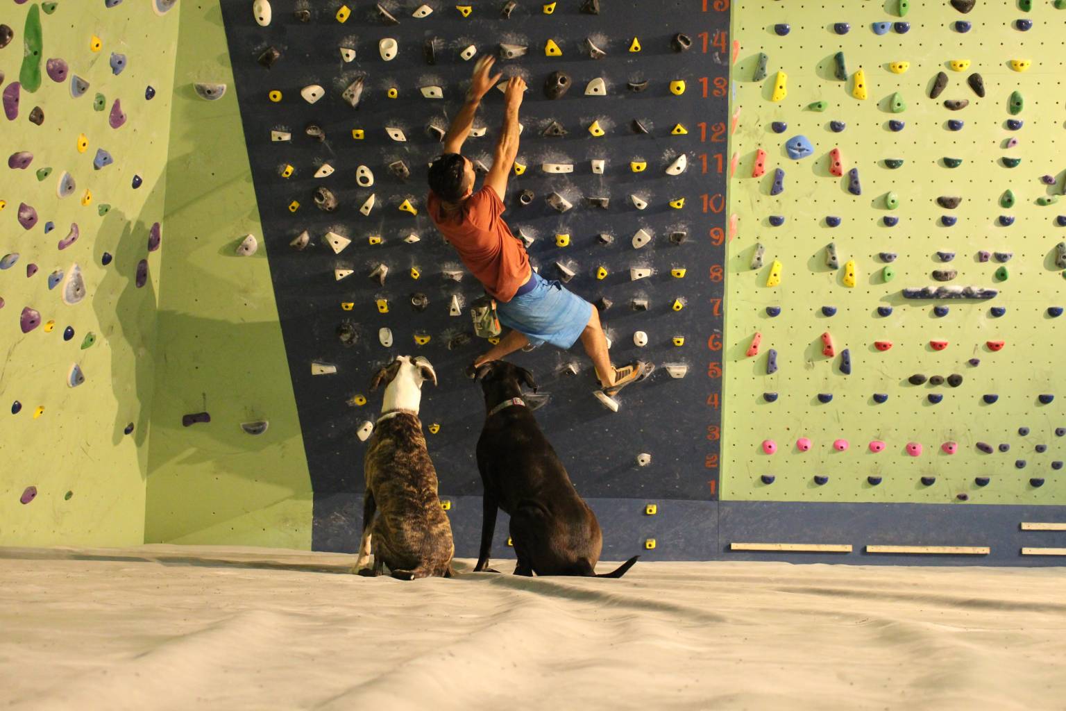 Climbing Movement - Summit Strength & Fitness | Madison's Training ...